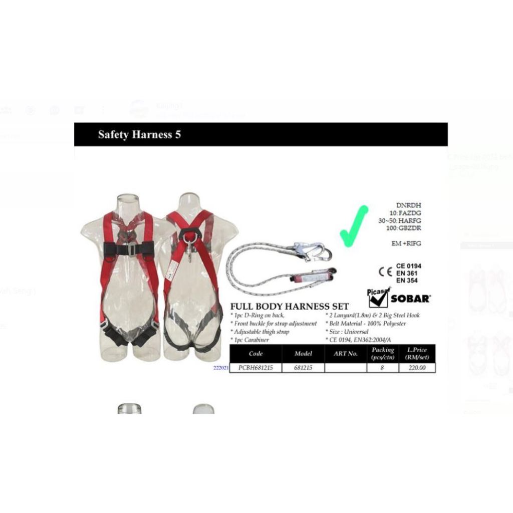 PICASAF FULL BODY HARNESS SET (681215) CE DOUBLE BIG HOOK WITH ABSORBER | Shopee Malaysia