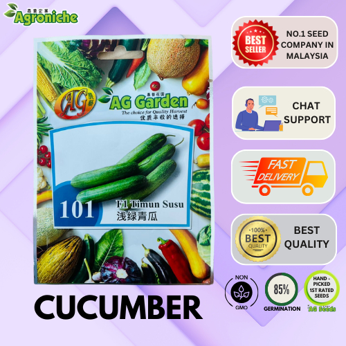 Timun Susu (30 seeds) high quality seeds from Agroniche | Shopee Malaysia
