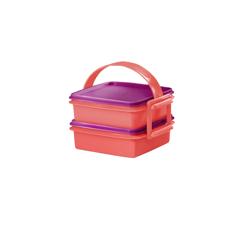 Tupperware Small Goody Box 790ml with Cariolier(2pcs/4pcs) | Shopee ...