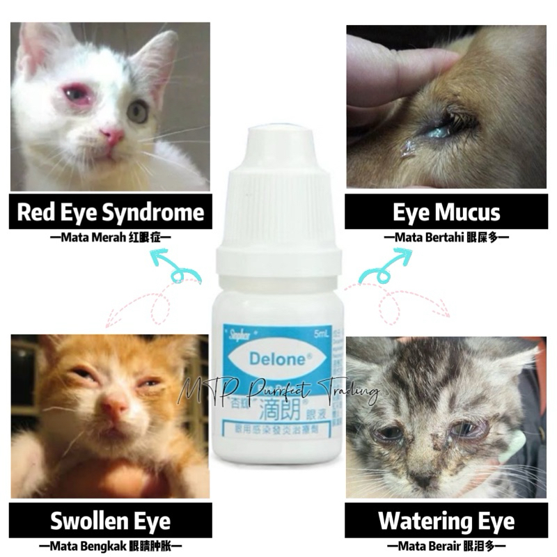 Delone Eye Drop Cat Dog Prevent Eye Inflammation Ubat Titis Mata Kucing ...