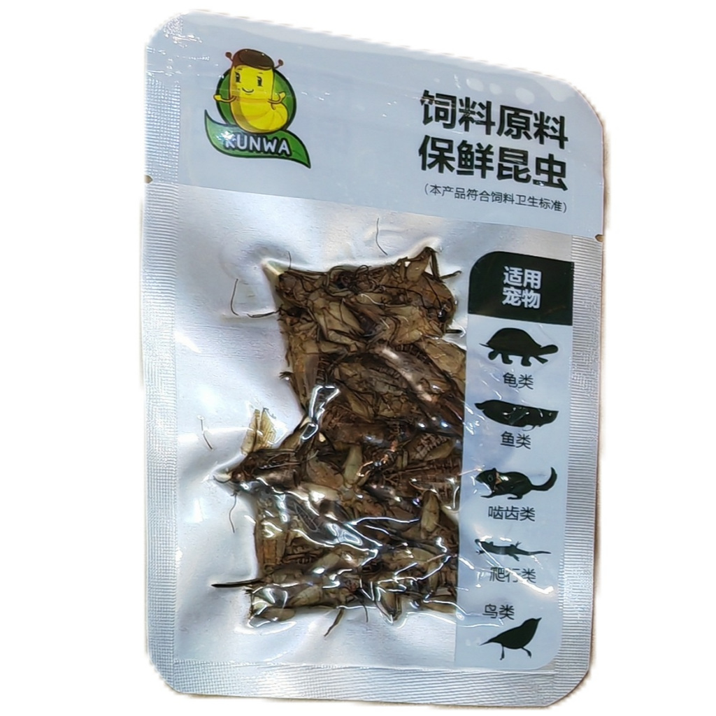 Vacuum Fresh Worm Arowana Bird Pet Food Dubia Cockroach Cricket ...