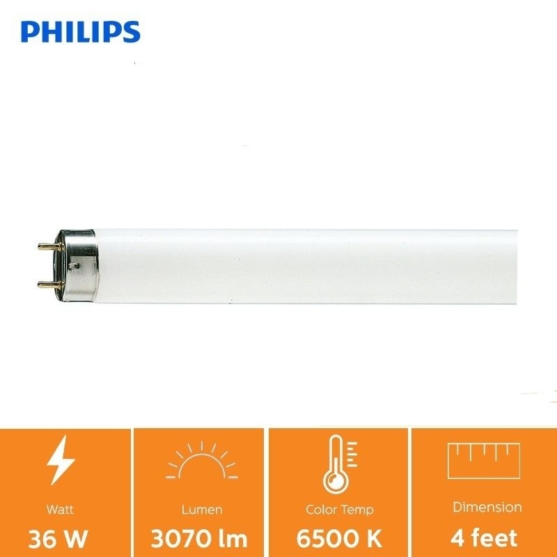 PHILIPS 36W 4 FEET FLUORESCENT TUBE 765 DAYLIGHT (30PCS) | Shopee Malaysia