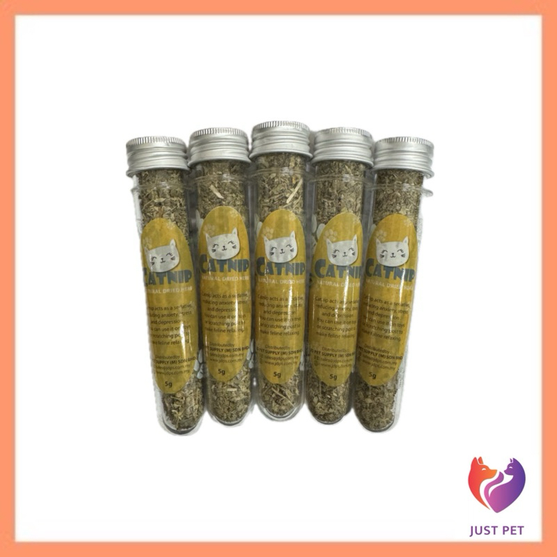 Catnip Natural Dried Herb 5g | Shopee Malaysia