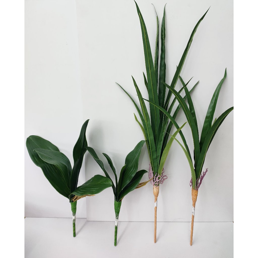 Daun daun okid orchid jambak dekorasi bunga | Shopee Malaysia