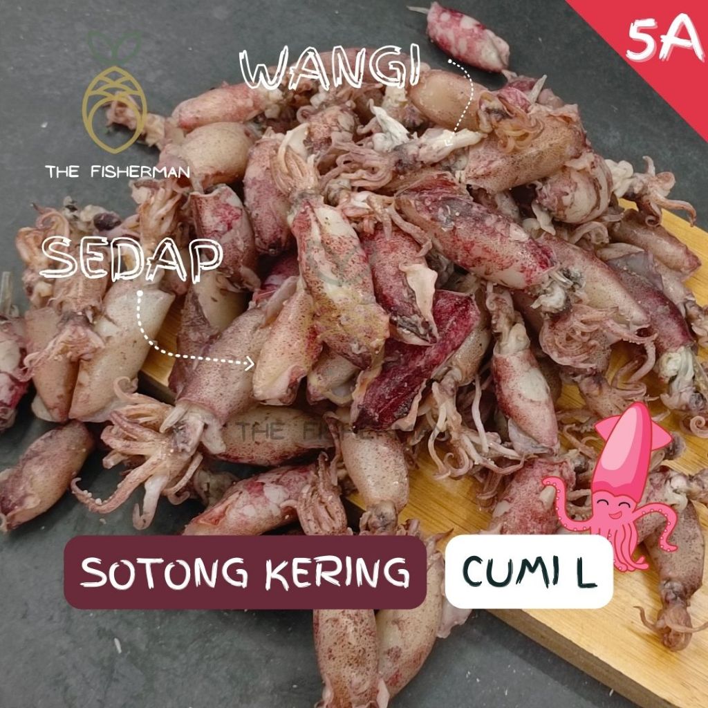 Baby Sotong Cumi Kering 5A | Sambal Sotong Cumi | Dried Sotong Cumit ...