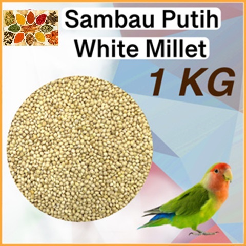 Kambu @ Sambau Kuning / Hijau (makanan burung) 500gm @ 1kg packing ...