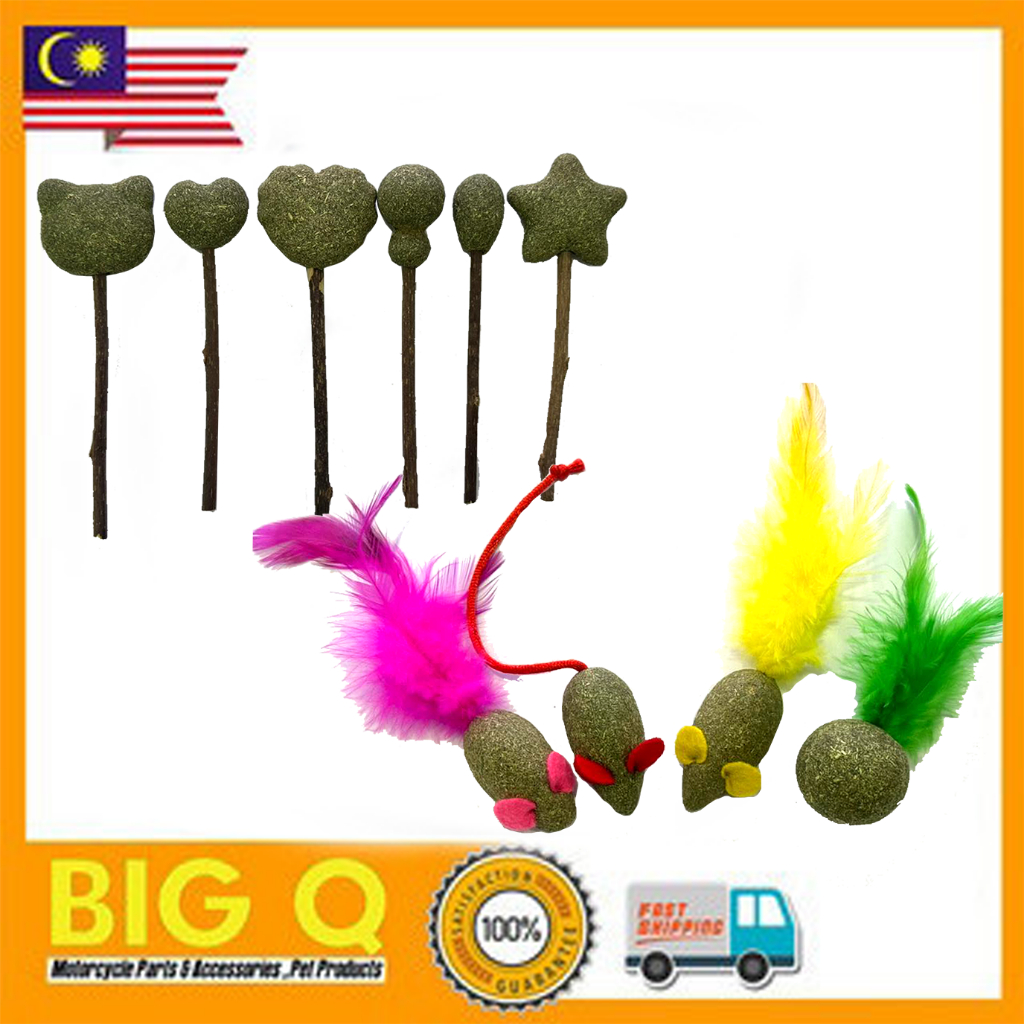 CATNIP BALL CHEWING LOLLIPOP/TOY CLEARANCE STOCK!!! | Shopee Malaysia