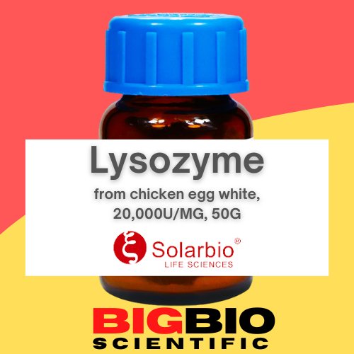 [Pre-order PLEASE CHAT] Lysozyme from chicken egg white, 20,000U/MG ...