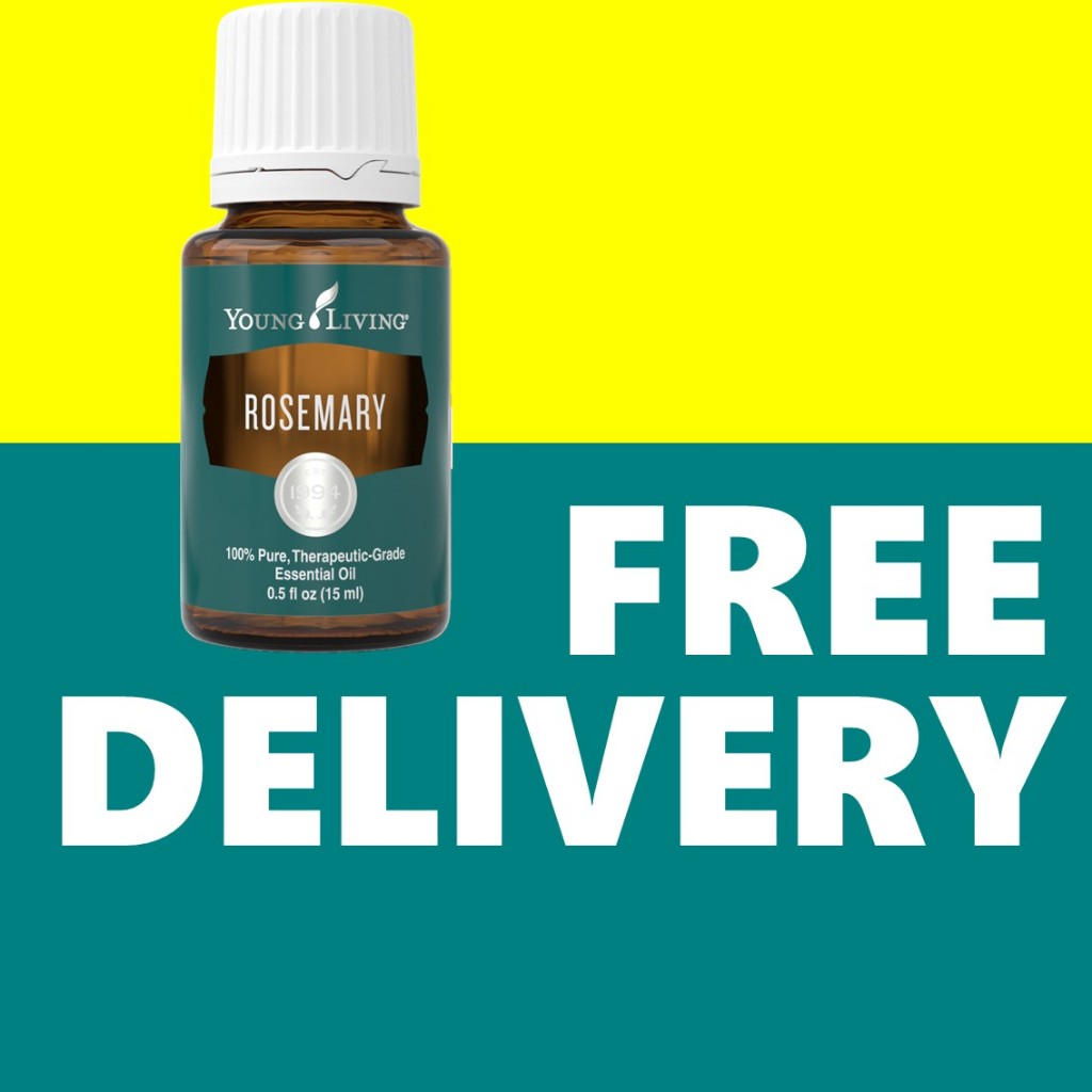 ROSEMARY Essential Oil 15ml 100% Original YL YLEO ROSE MARY Bunga ...