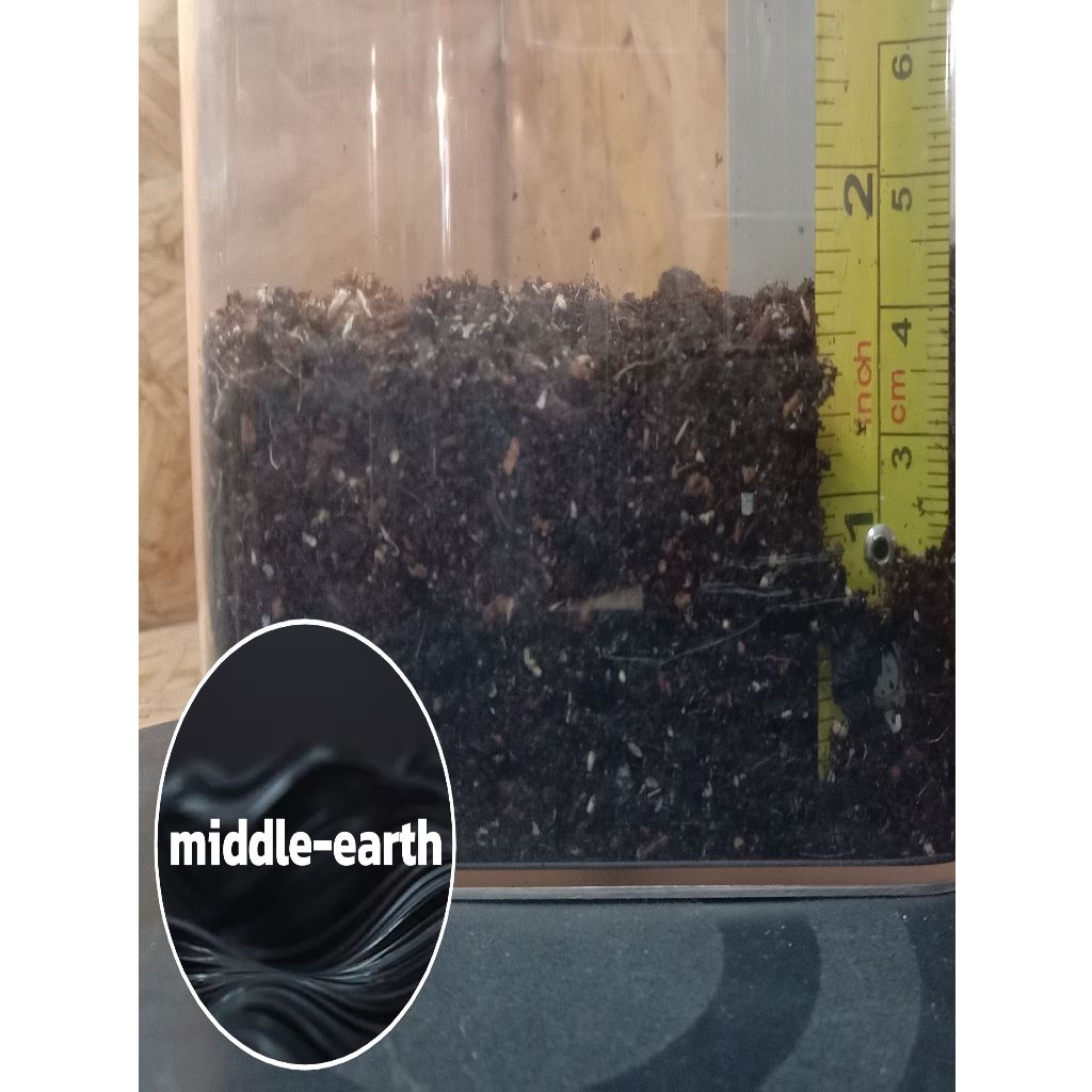 Isopod - Substrate (Moist Retention) | Shopee Malaysia