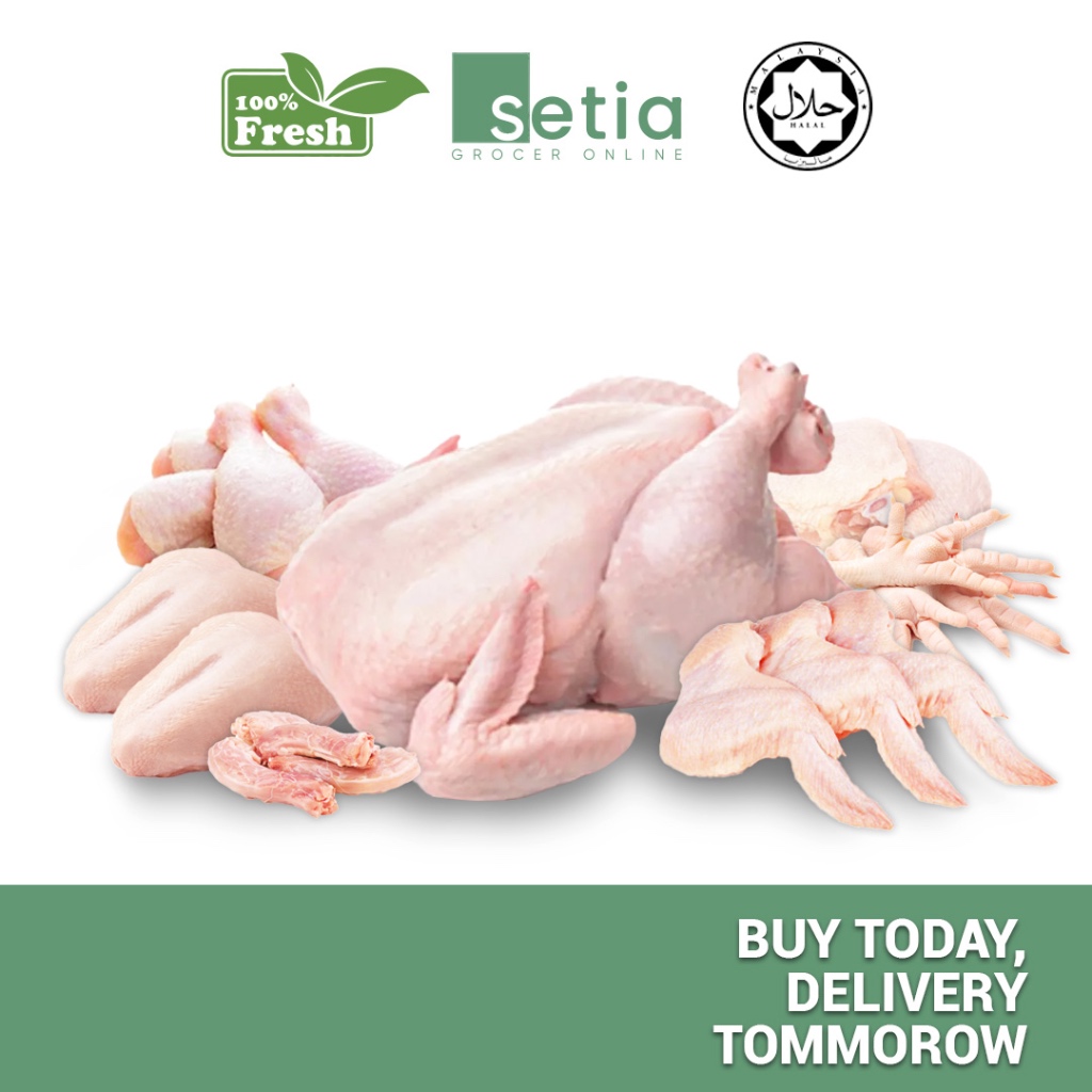 Ayam (Chicken ) – Standard Size +/- 1.7 - 1.9kg | Shopee Malaysia