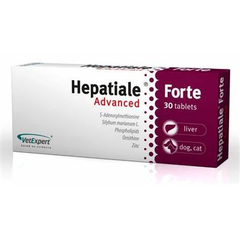 Hepatiale Forte Advance (30 tablets) | Shopee Malaysia
