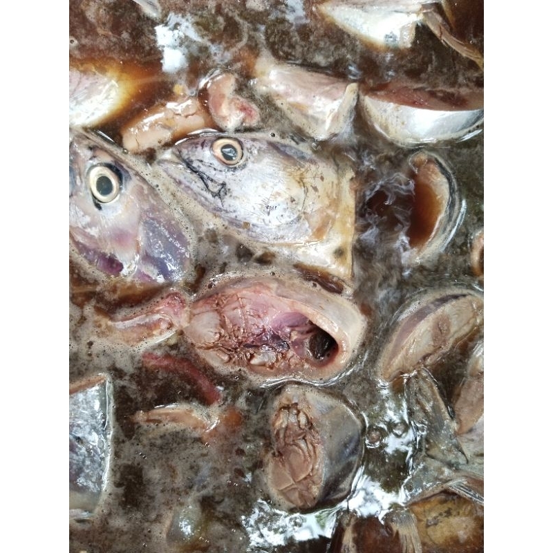 1Liter baja ikan/baja/fish amino acids(faa) / baja pertanian/baja ikan ...