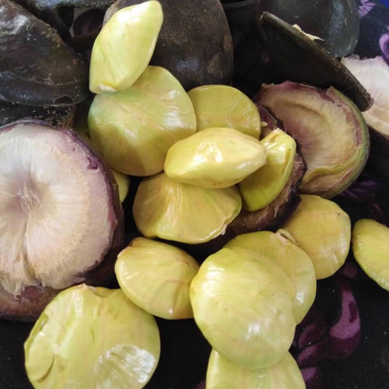 JERING MUDA KEPALA UMBOK | JERING FRESH | BUAH JERING | Shopee Malaysia