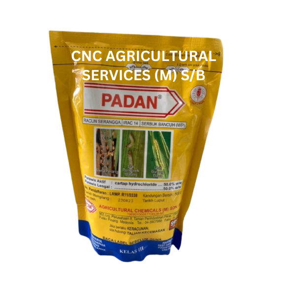 Padan 500GM ACM Cartap Hydrochloride Racun Serangga Bena Hijau Nyamuk Ulat Gulung Daun | Shopee ...