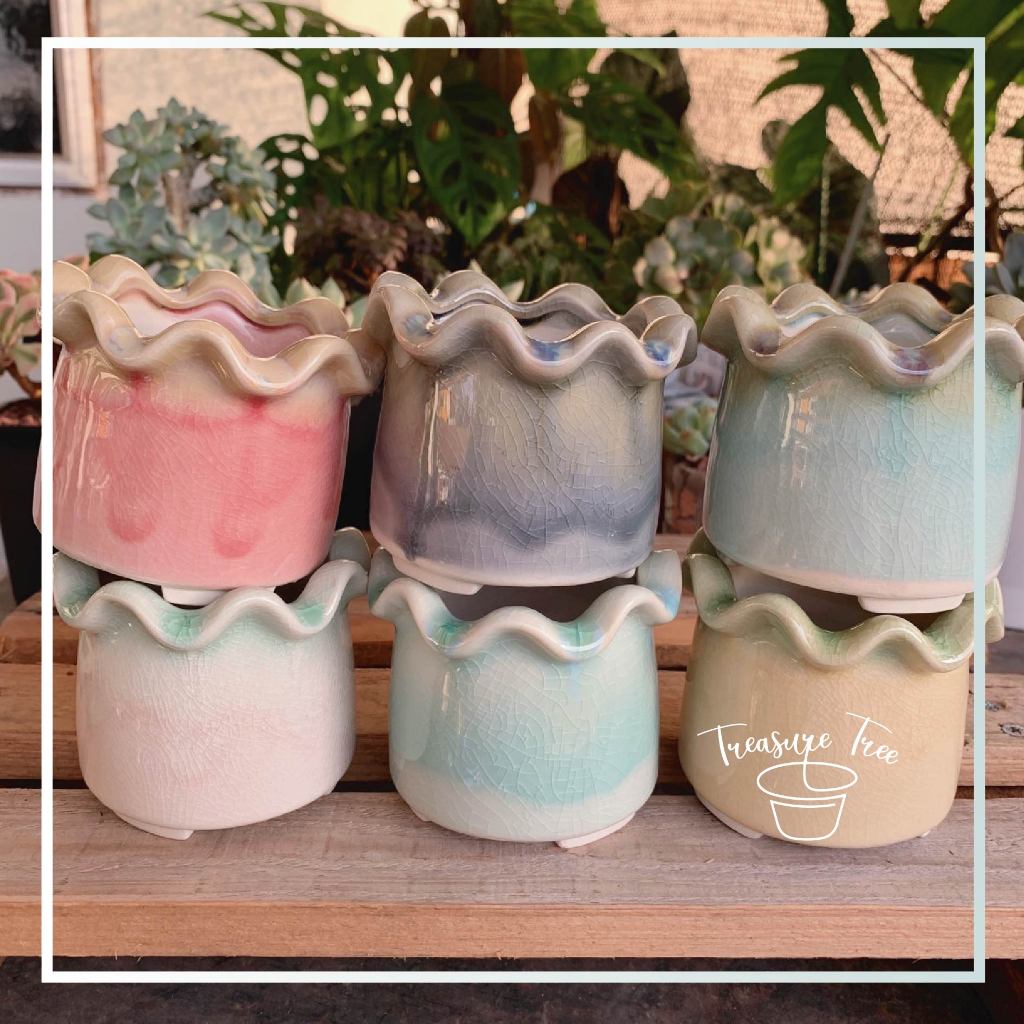 [Treasure Tree] Succulent Plant Pots Wave Shaped Flower Pots 多肉植物花盆波浪口A ...