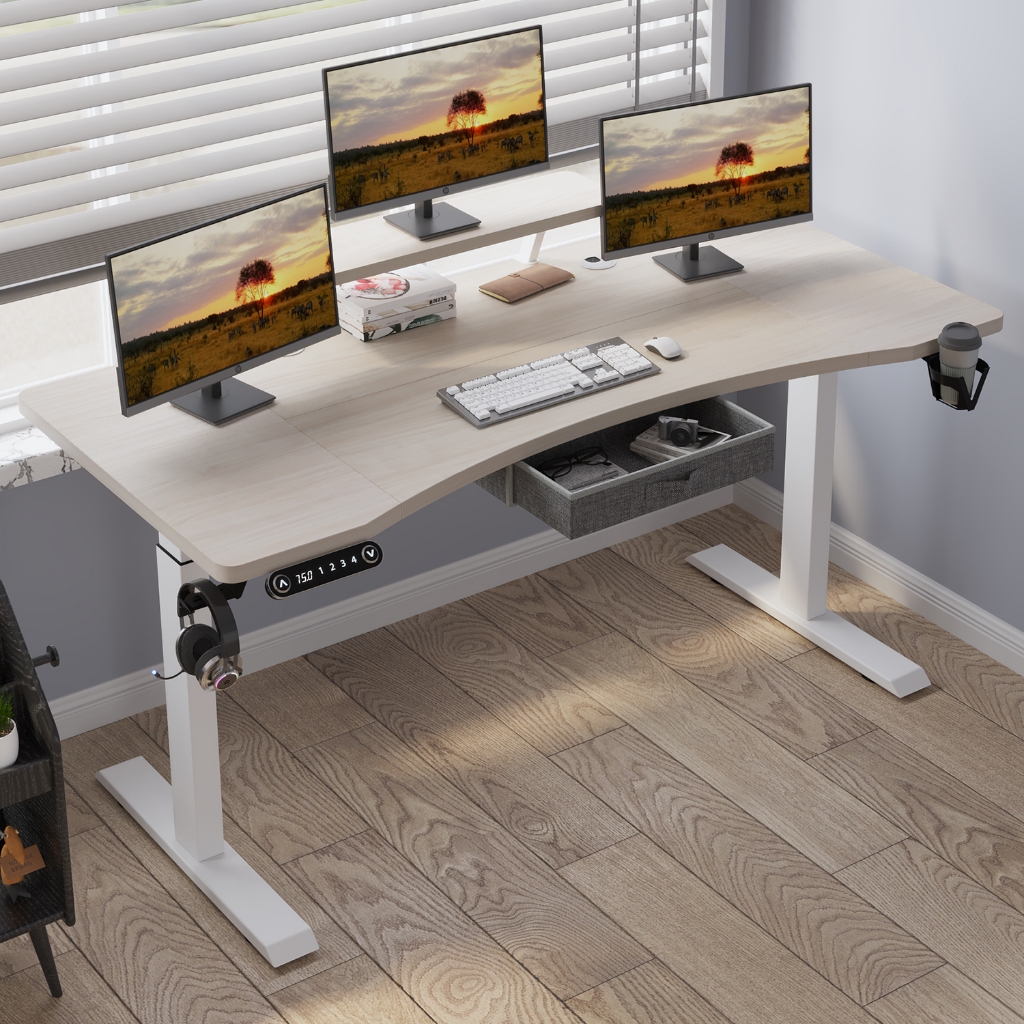 [Half price] Mxtark 63 inches 1.6M Electric Standing Desk Dual Motor ...