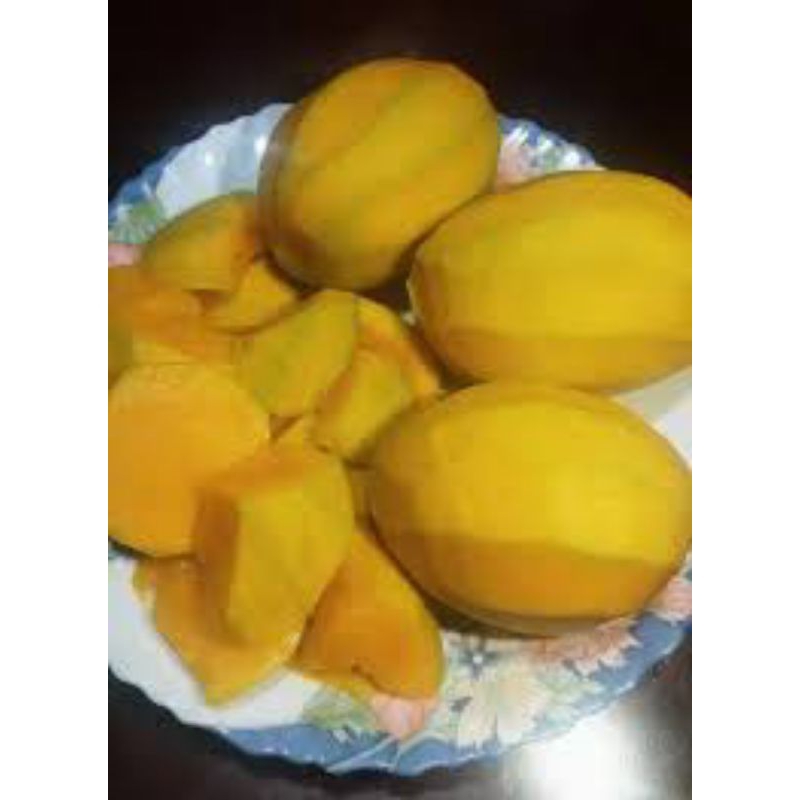 Kuini Buah Kuini Segar 1KG | Shopee Malaysia