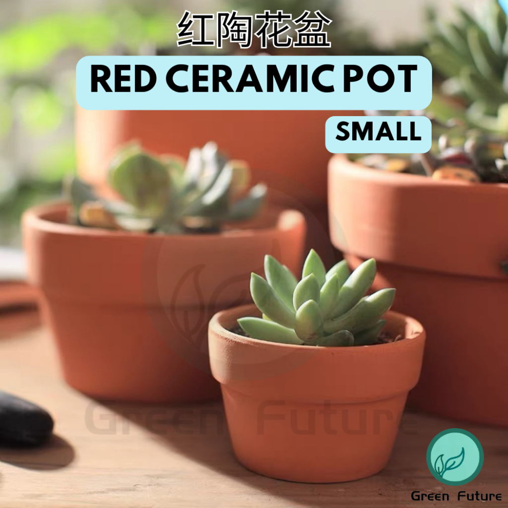 【6 SIZE SMALL SERIOUS】 RED POTTERY CLAY POT SUCCULENT FLOWER POT 红陶盆 红陶 ...