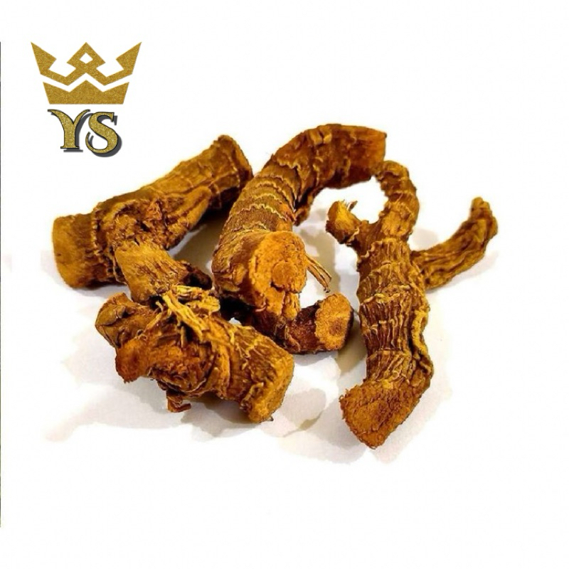 Sitharathai | Kulanjan | Lesser Galangal | Chitharathai Infusion ...