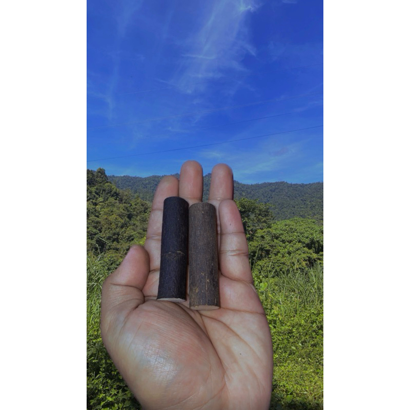 Kayu Tas Jantan & Betina / Kayu Limpanas / Kayu Hujan Panas | Shopee ...