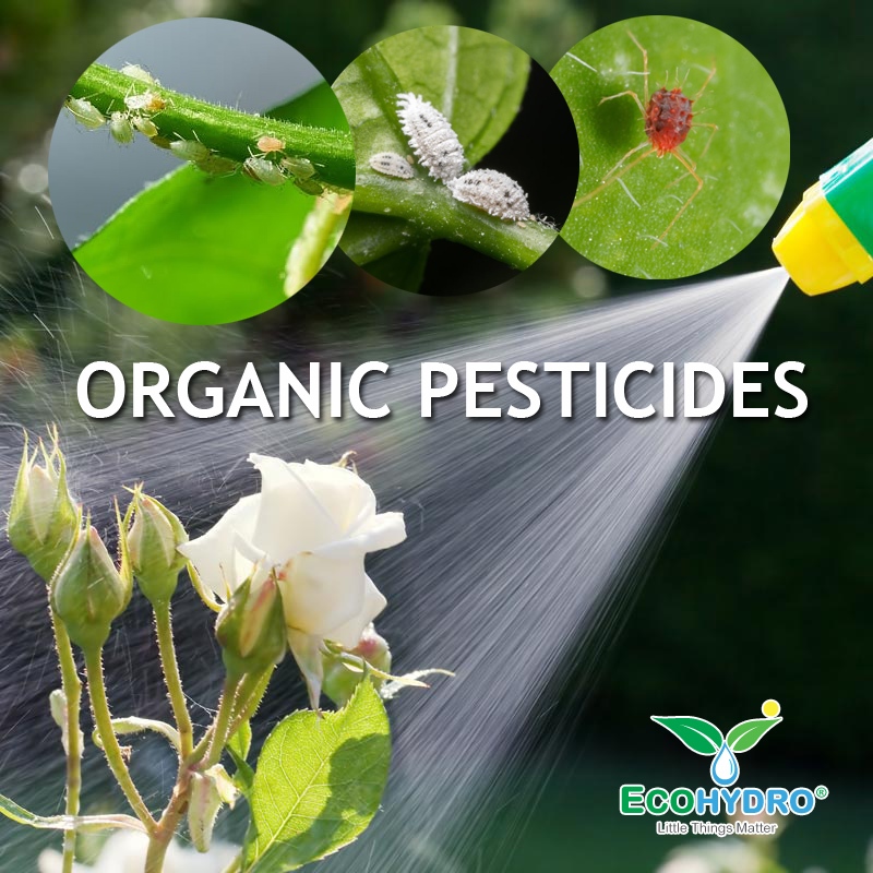 Kawalan Seranga Organik pesticide insect mites white flies mealybug ...