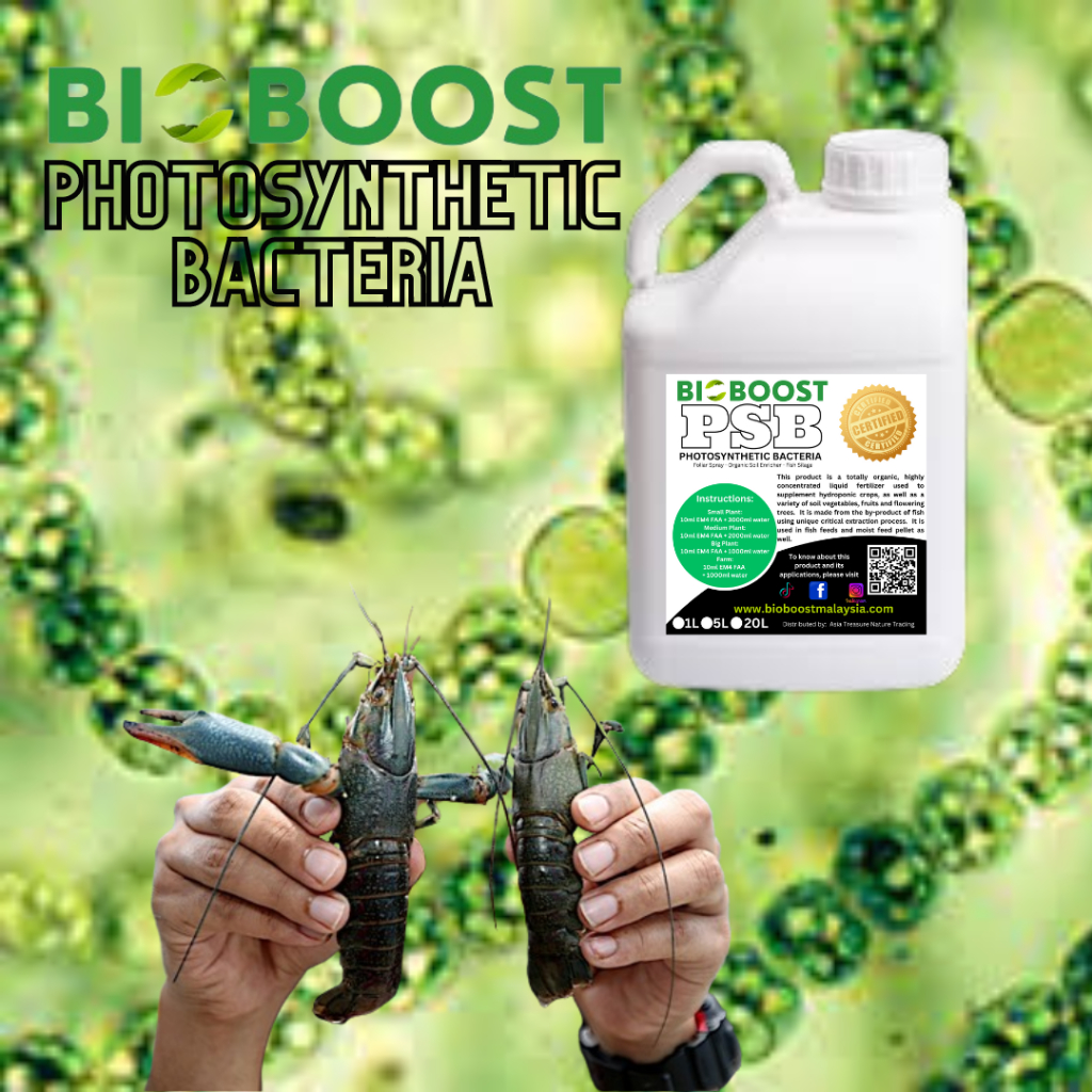 PSB Photosynthetic Bacteria Menjernihkan Air Menjaga Kualiti Air Menguraikan Nitric Acid Japan ...