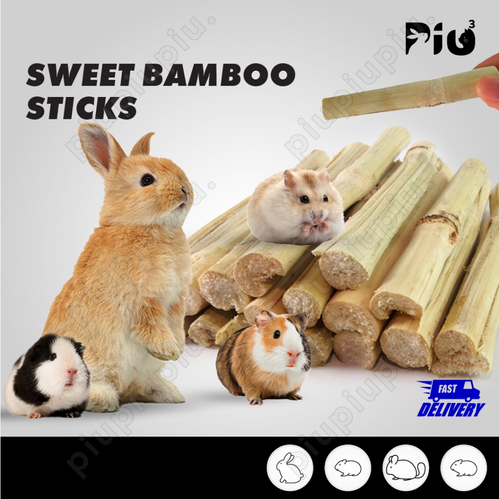 [24HR SHIP] SWEET BAMBOO MOLAR STICKS 100G Chew Sticks Rabbit Hamster ...