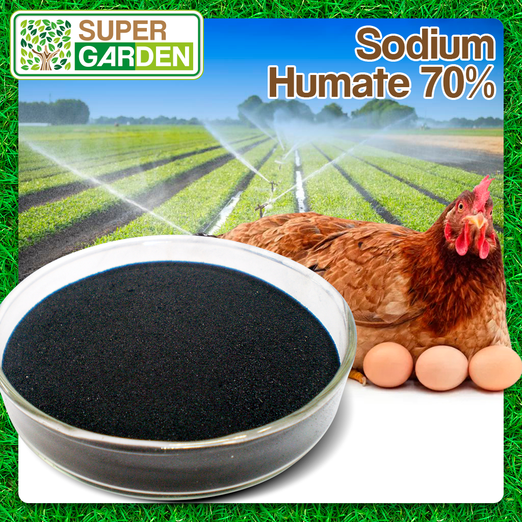 Sodium Humate 70% / Black Soil / Aquarium Black 1KG /Briquette Bonding ...