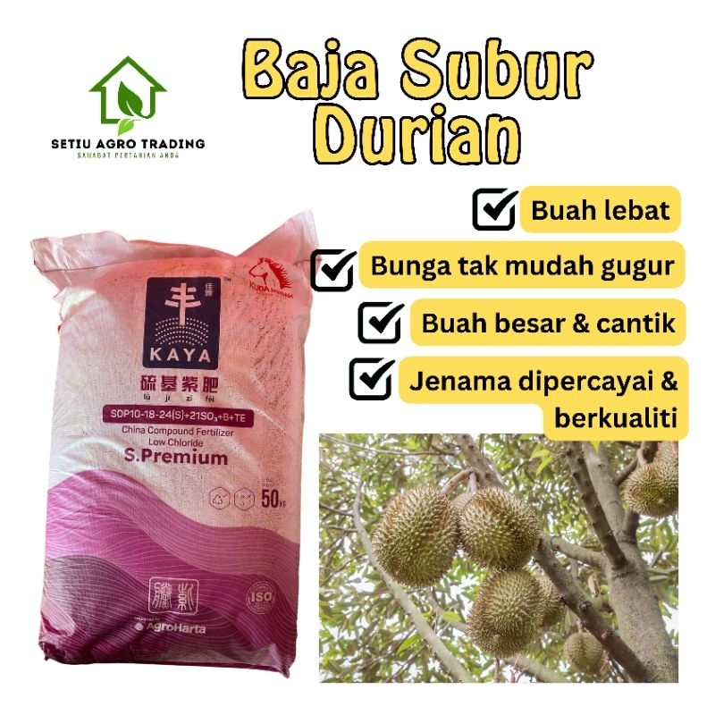 Baja Durian Kuda Merah | Lebat Buah Durian | Sulphate Premium | Shopee ...