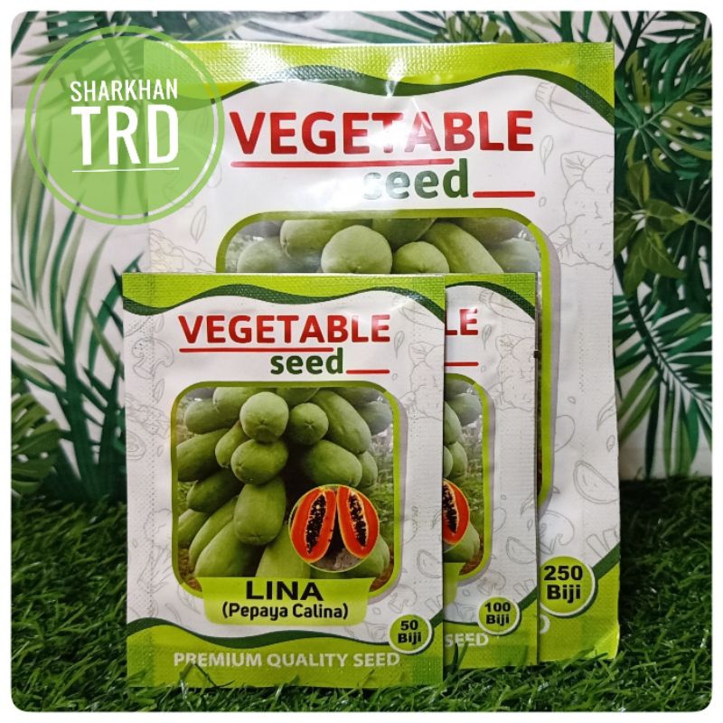 Paket 250-100-50 Biji LINA Pepaya Calina Biji Benih Betik California Indonesia Viral Premium ...