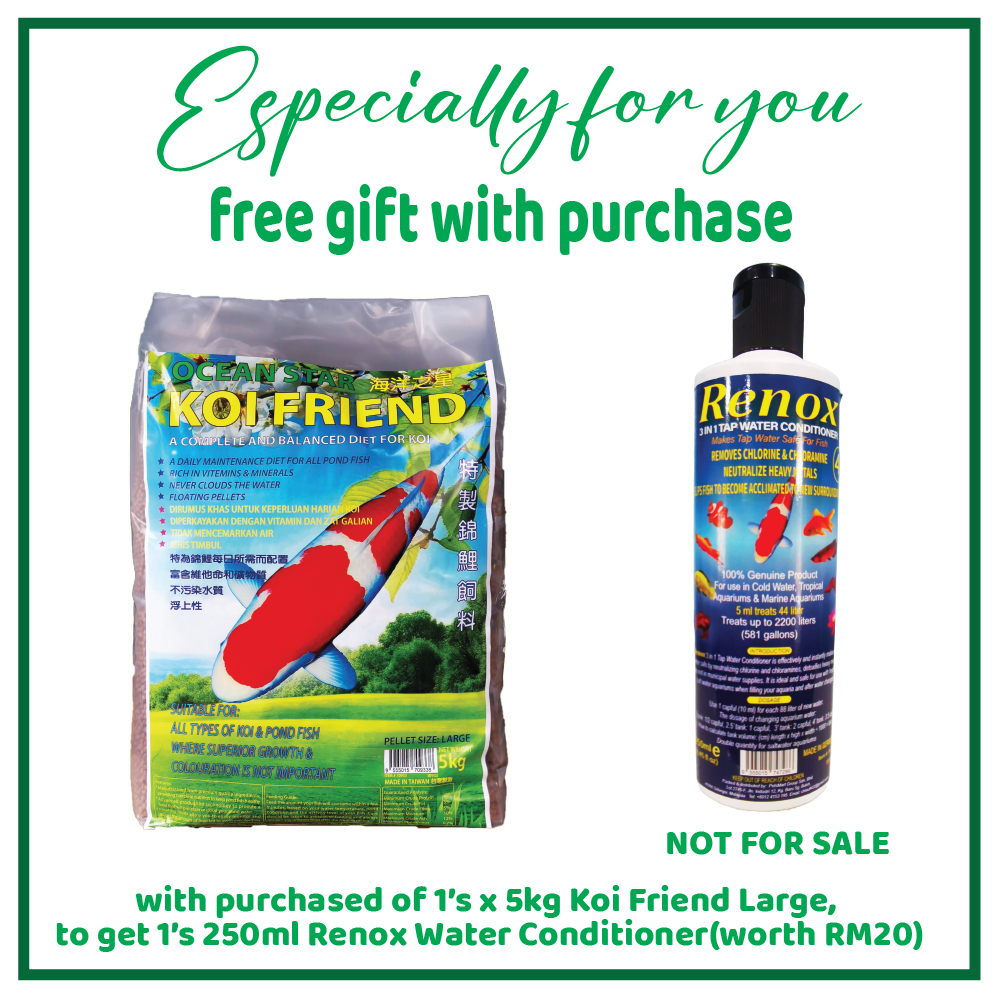 [BUY 1 FREE 1] MAKANAN IKAN KOI HARIAN | OCEAN STAR KOI FRIEND 5KG free ...