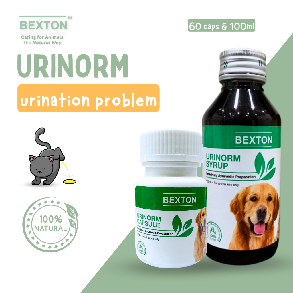 BEXTON URINORM AFS SYRUP / CAPSULE (PETS KIDNEYS SUPPLEMENT) | Shopee ...