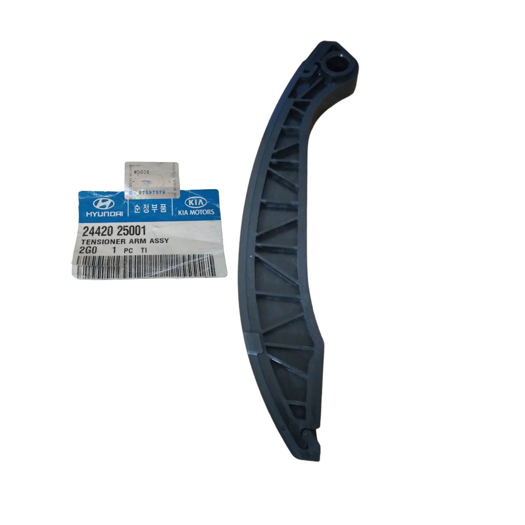 Kia Rondo Genuine Original Timing Chain Guide (NO WARRANTY)(24420-25001 ...
