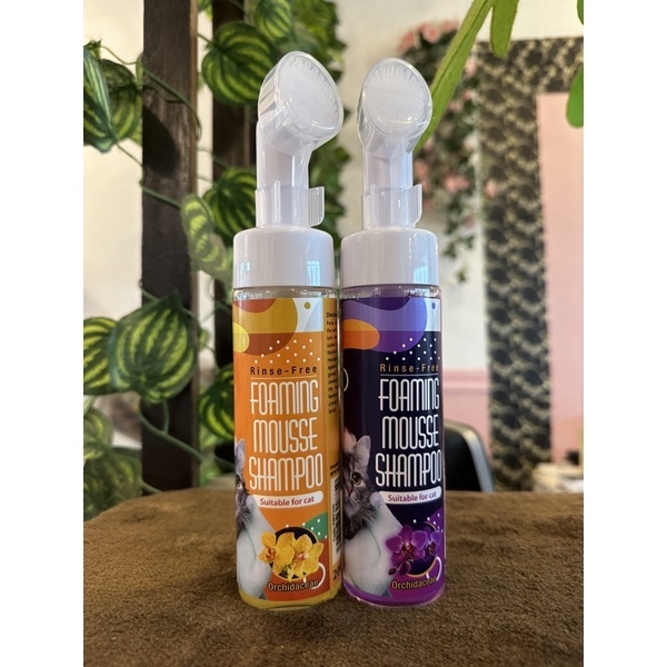 Medic Plus Foaming Mousse Shampoo For Cat 200ml | Shopee Malaysia