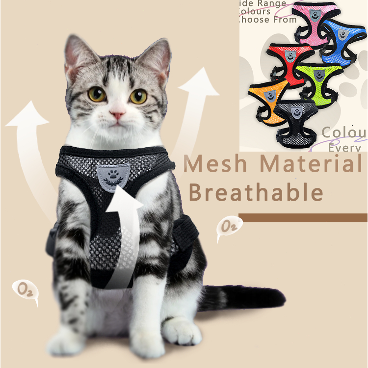 COUCOU Pet Harness Tali Kucing Berjalan Murah Lead Cat Dog Rope ...