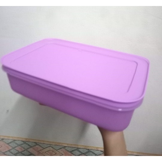 Tupperware Chill Freeze Set 450ml / 1.1L /170ml (1/2/4pcs) | Shopee ...