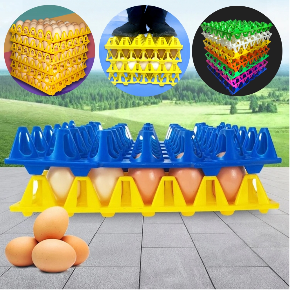 🐔 Plastic Egg Tray / Egg Storage 30 Pcs / Dulang Telur Plastik Papan ...
