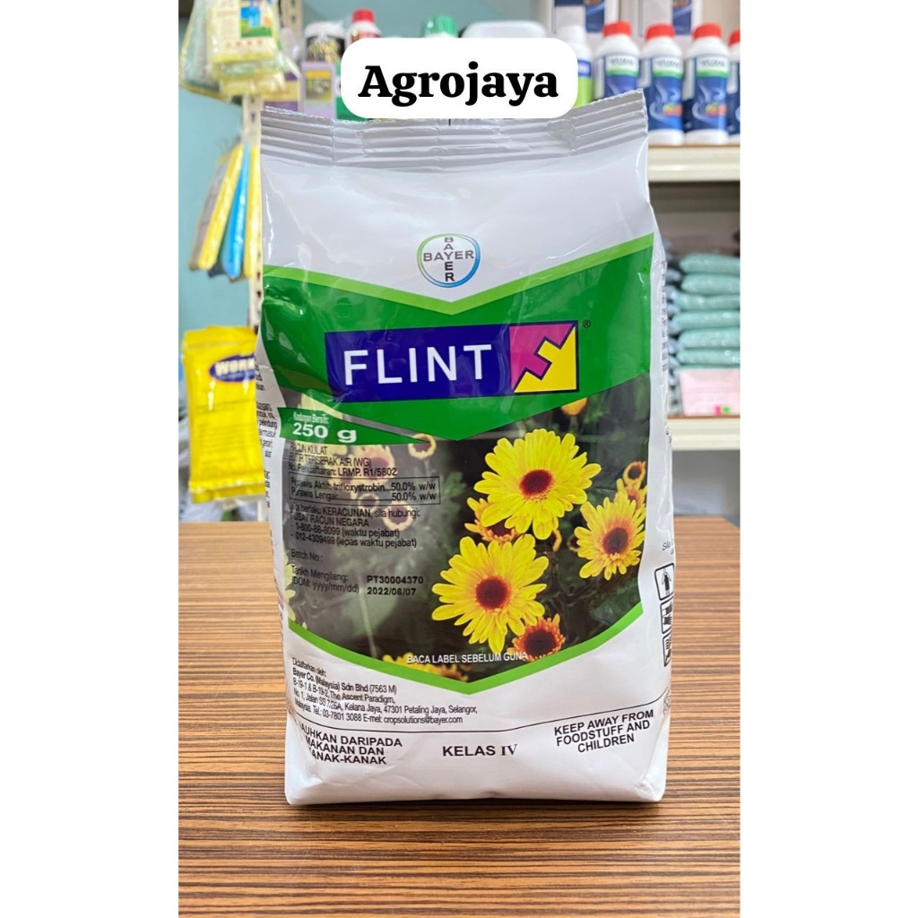 (20gm repacking) FLINT BAYER / Kulat / Karah Daun | Shopee Malaysia