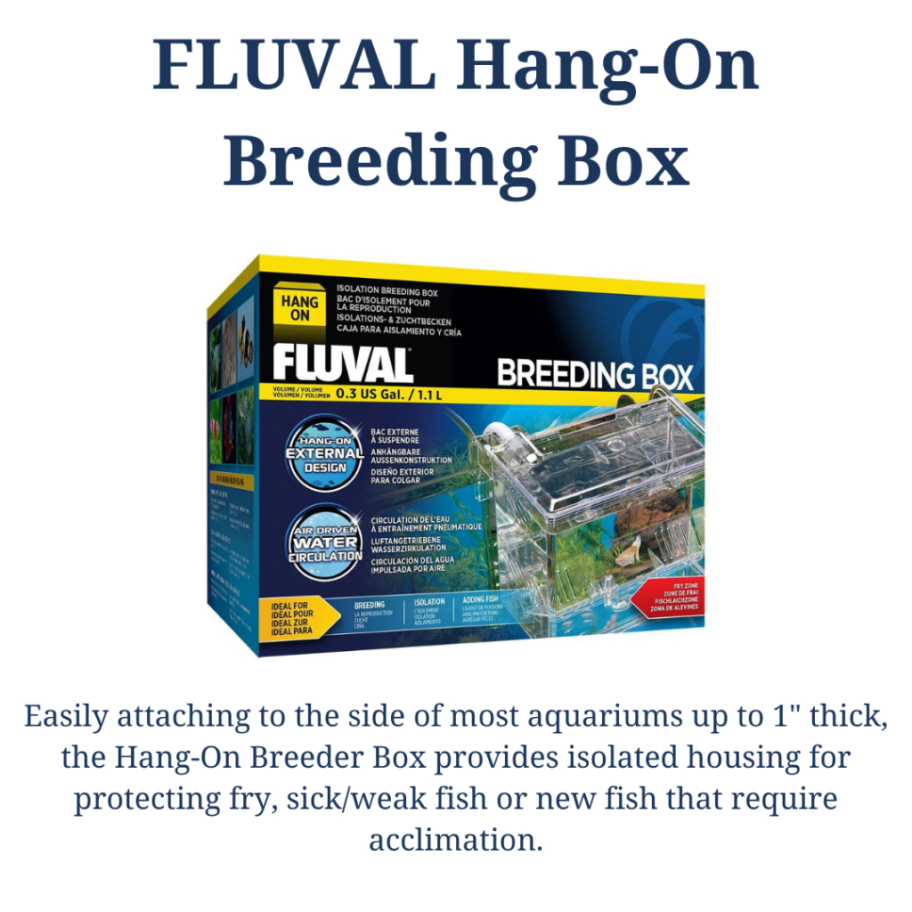 FLUVAL Hang-On Breeding Box 0.3 US Gal / 1.1L (For Aquarium) | Shopee ...