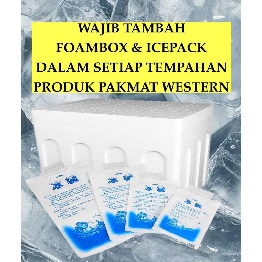 FOAMBOX+ICEPACK KHAS UNTUK PACKAGING PRODUK SEJUK BEKU | Shopee Malaysia