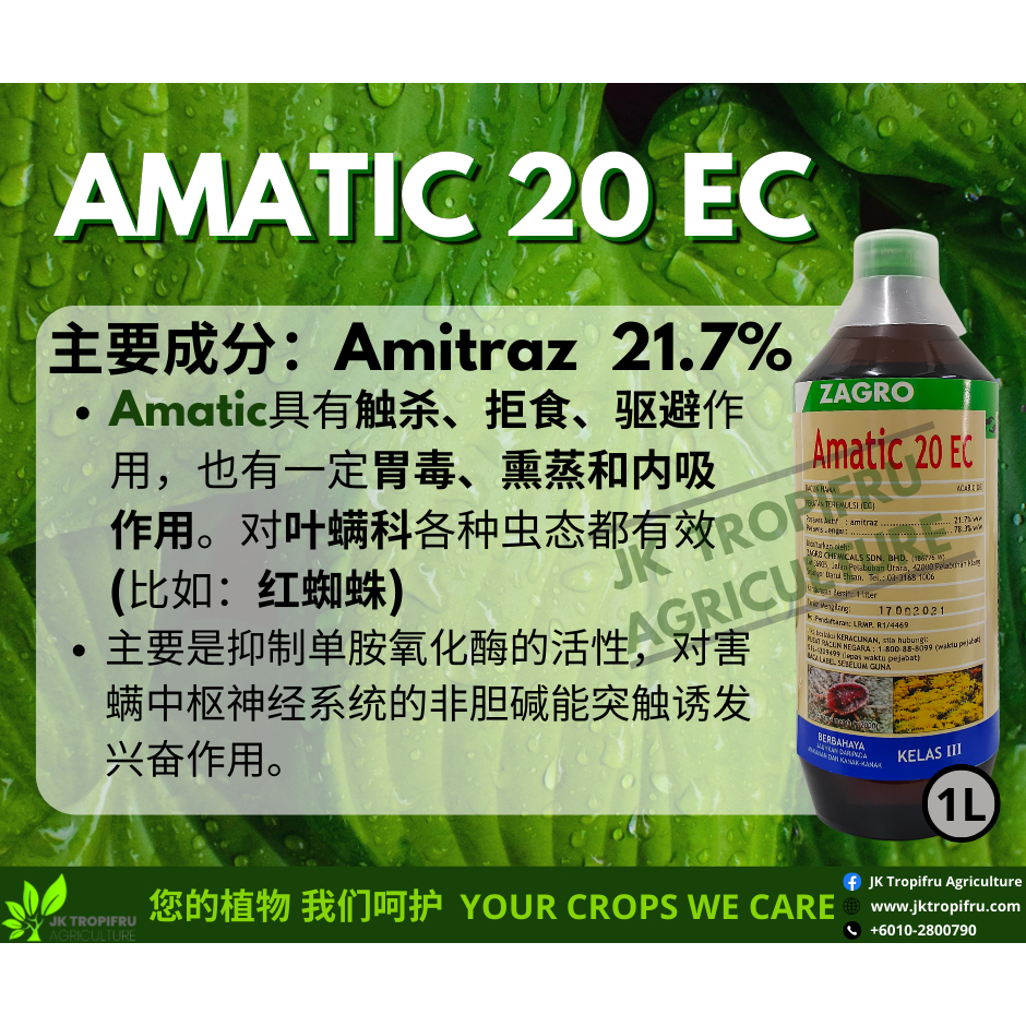 【Racun Hama Merah 红蜘蛛 Spider Mite】Amatic 20EC (1L) -Racun Serangga ...
