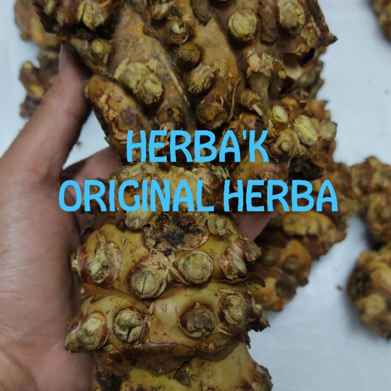 HERBA TOK BATIN ORANG ASLI 🔥 RANCANG TEMBAGA ASLI | Shopee Malaysia
