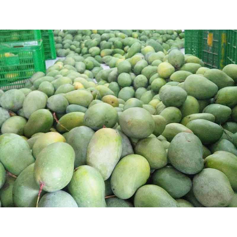 harum manis asli dari bumi Perlis 100% 2025 | Shopee Malaysia