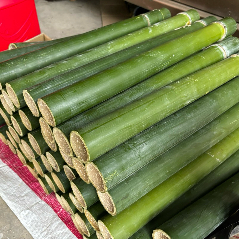 (READY STOCK)Buluh Lemang Ukuran Standard - FREE BUBBLE WRAP / Lemang ...