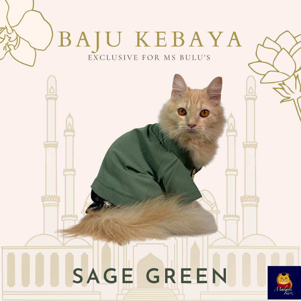 [Ready Stock Raya 2025] Baju Raya Baju Kebaya Kucing + Kain Batik (Sage ...