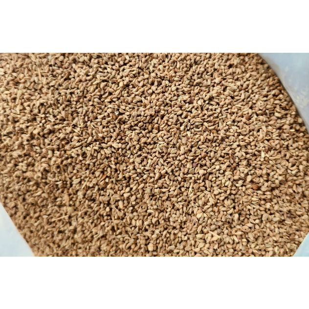 Carom Seed/Ajwain/ Omam Seed (100g/200g/500g) | Shopee Malaysia