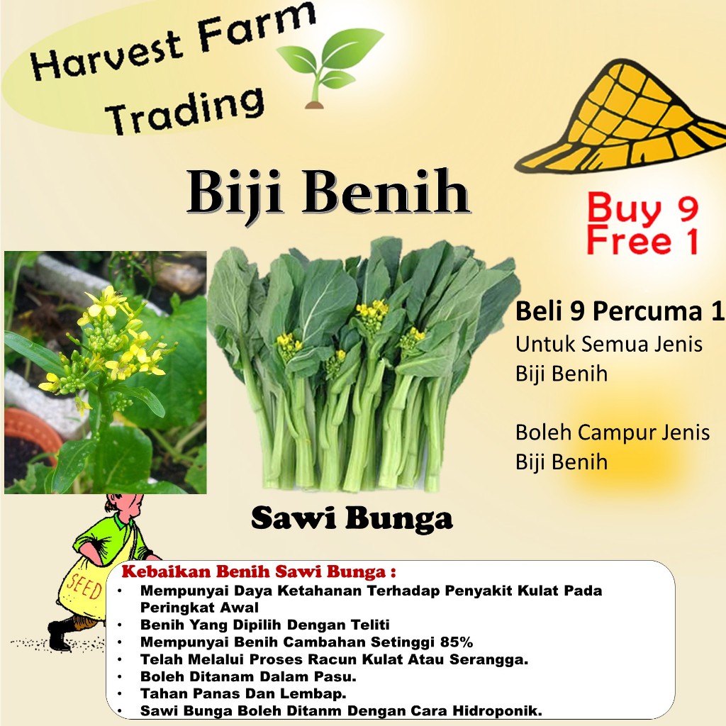 biji benih sayur sayuran pelbagai bunga vegetable seed bibit anak pokok ...