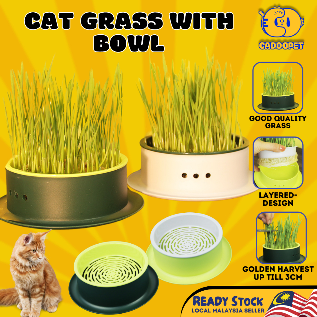 Cat Grass Basin With Bowl, Soilless Hydroponics, Cat Grass Seed Box ...