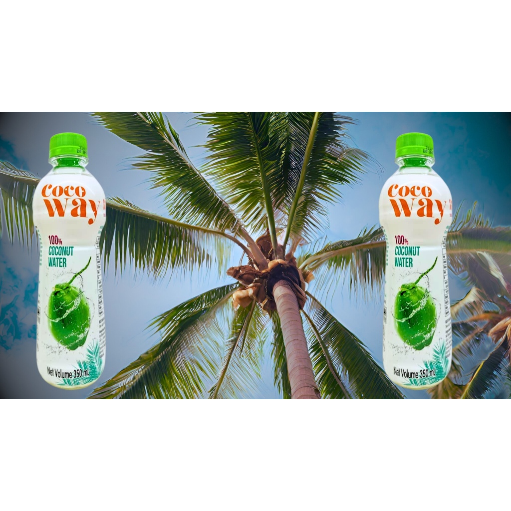 泰国椰子水6支 Thailand Coconut Water Drink 6 Bottle (IMPORTED FROM THAILAND ...